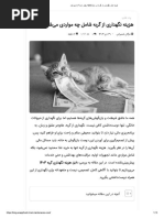 DiGiBoY Windows 11 Version 24H2 | PDF