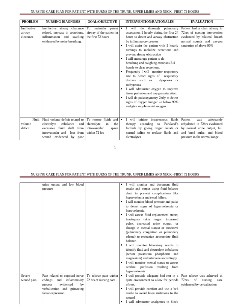 Burns Nursing Care Plan 2020 PHN RNM | PDF | Infection | Burn