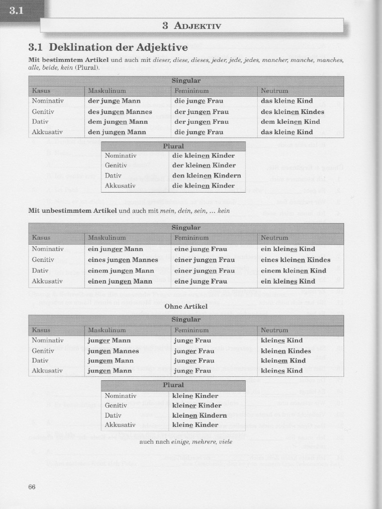 Adjektive Deklinationen Übungen | PDF