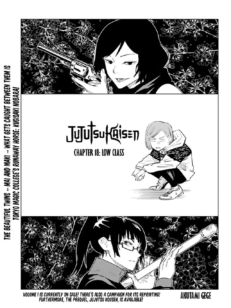 Chapter 18 Low Class | PDF