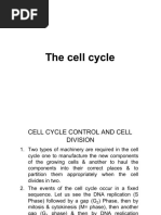 Amoeba+Sisters +the+Cell+Cycle+ (And+cancer) +Video+Notes+Page | PDF ...
