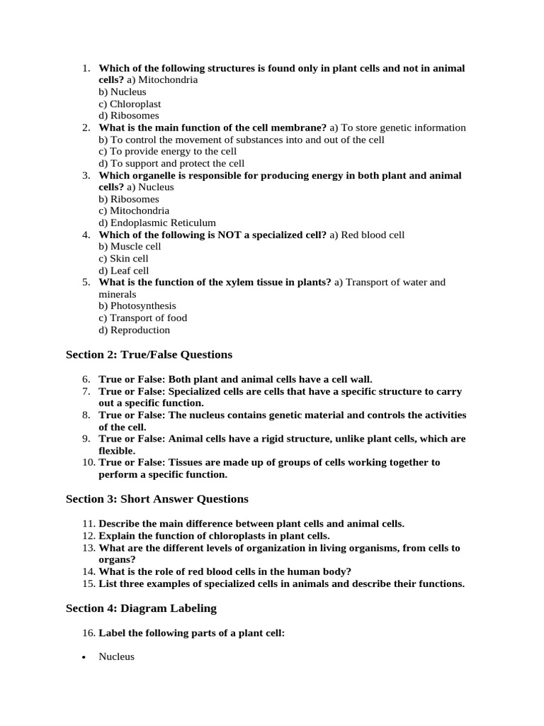 Plant and Animal Cell Exam Questions | PDF | Cell (Biology) | Tissue ...