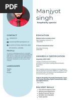 Emirates Cabin Crew CV Sample | PDF