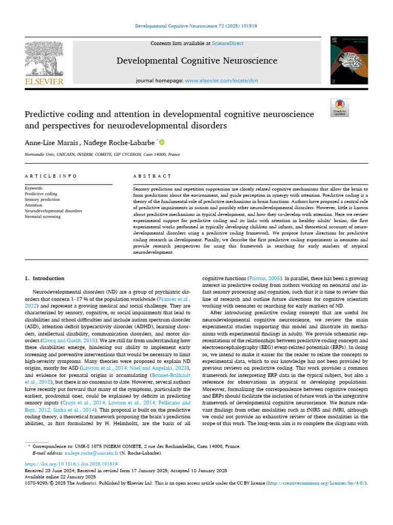 Predictive Coding and Attention in Developmental Cognitive Neuroscience ...