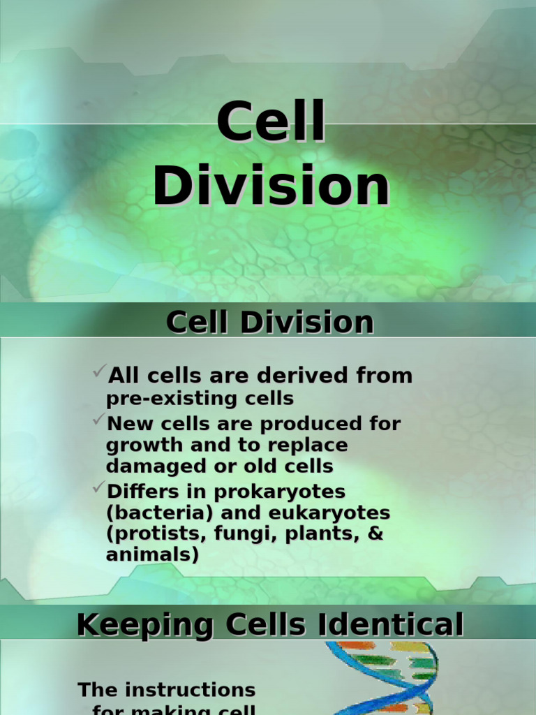 Cell Cycle & Cell Division | PDF | Meiosis | Mitosis