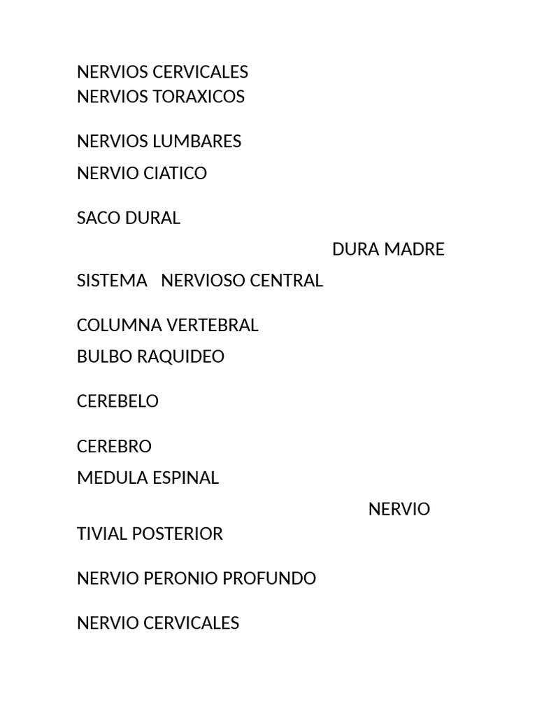 Nervios Torácicos en el Sistema Nervioso | PDF