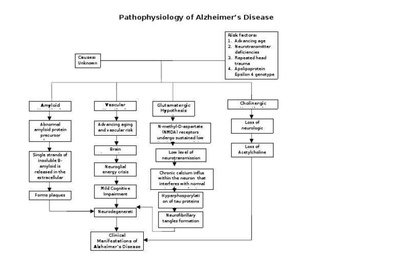 Alzheimer’s Disease Pathophysiology Explained | PDF