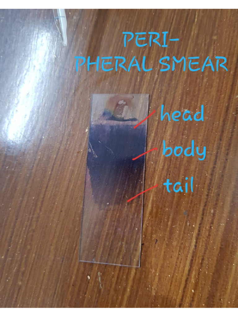 Patho Slides and Samples | PDF