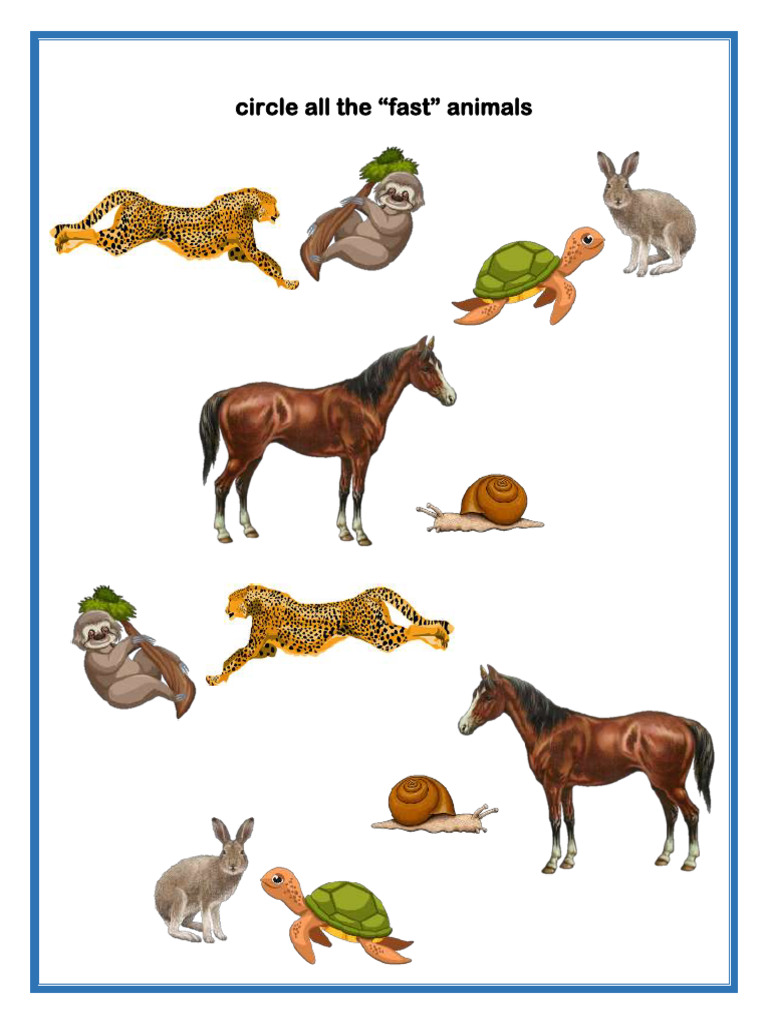 Fast and Slow Kids Worksheet | PDF