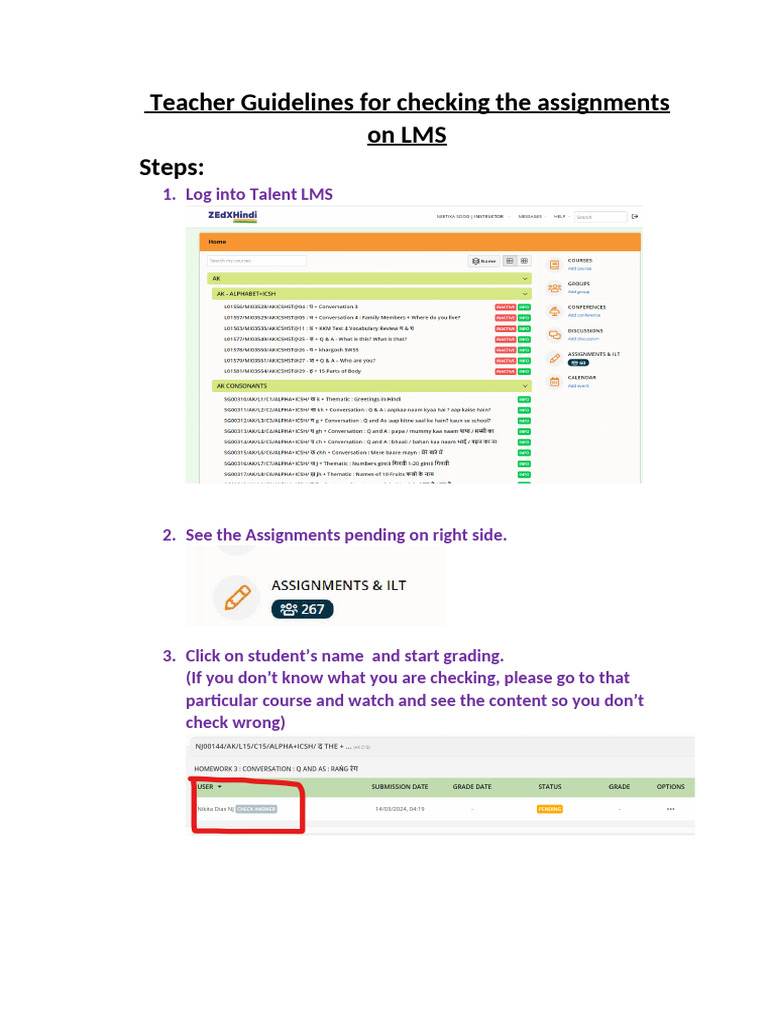 Teacher Assignment Grading Guidelines | PDF
