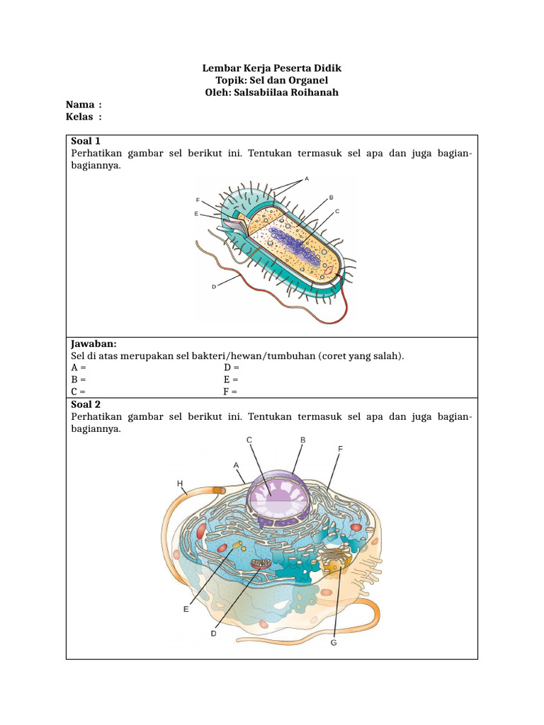 LKPD Sel Dan Organel | PDF