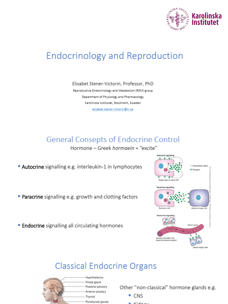 Endocrinologi and Reproduction KTH HT2019 | PDF | Hormone | Hypothalamus