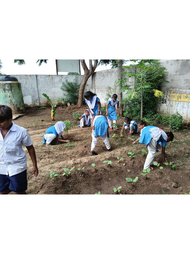 Plantation Program | PDF