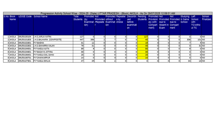 Udise Students Progress Pending School Report | PDF