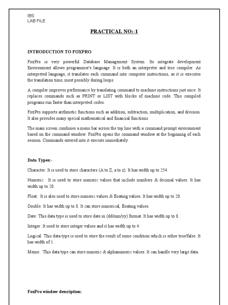 Ibs File | PDF | Word Processor | Spreadsheet