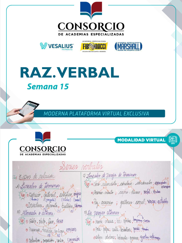 Raz. Verbal Sem 15 | PDF