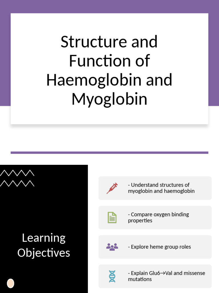 Haemoglobin Myoglobin BIC 301 Lecture | PDF | Hemoglobin | Molecular ...