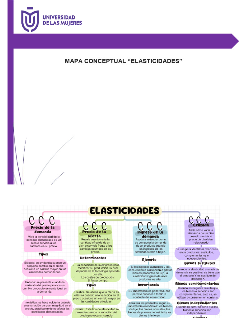 Mapa Concepual, Elasticidades | PDF