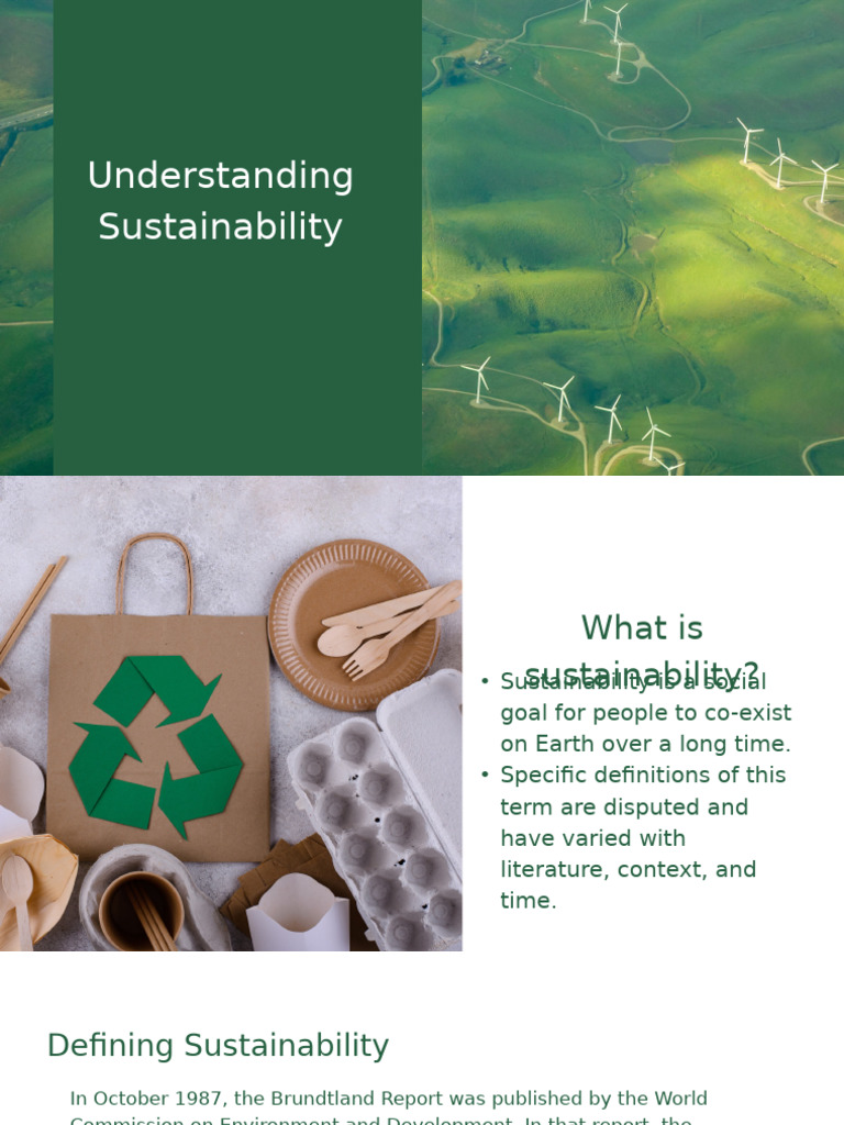 Understanding Sustainability | PDF | Sustainability | Sustainable ...