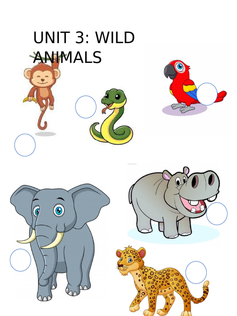 Unit 3 Kinder Wild Animals | PDF