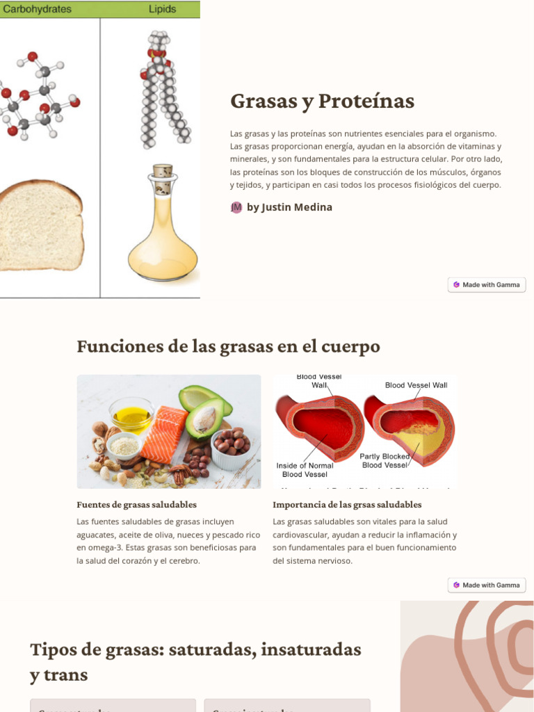 Grasas y Proteinas | PDF | gordo | Petróleo