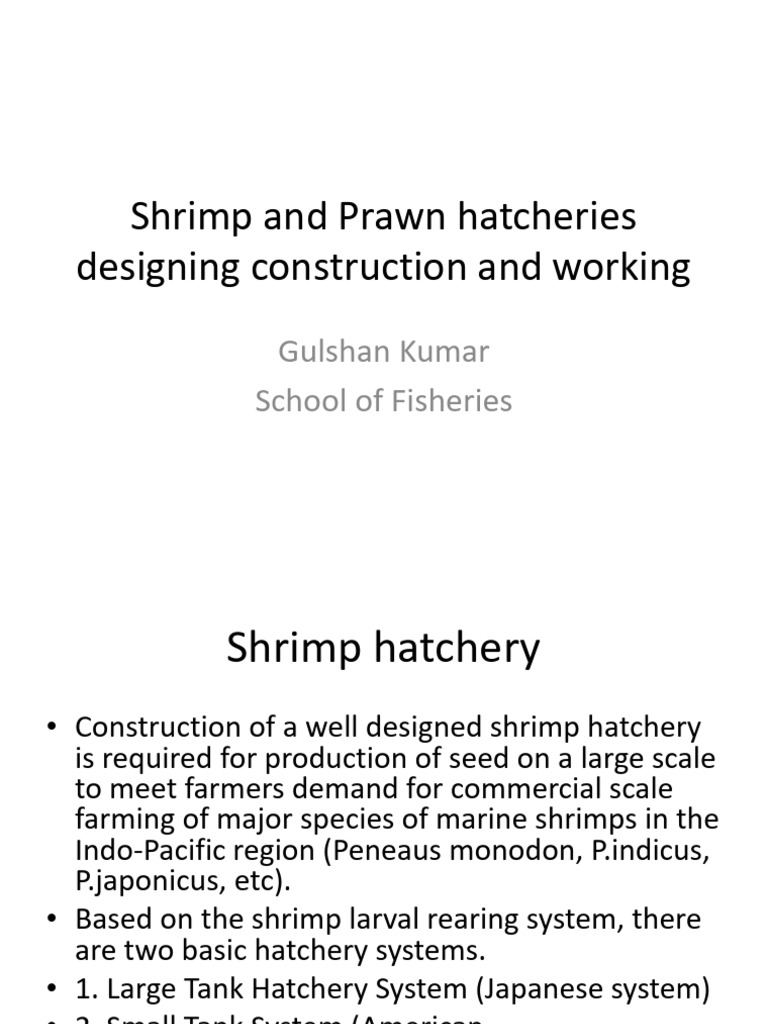 Shrimp and Prawn Hatchery Design Guide | PDF