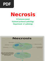 First vs. Second Intention Healing | PDF | Wound Healing | Scar