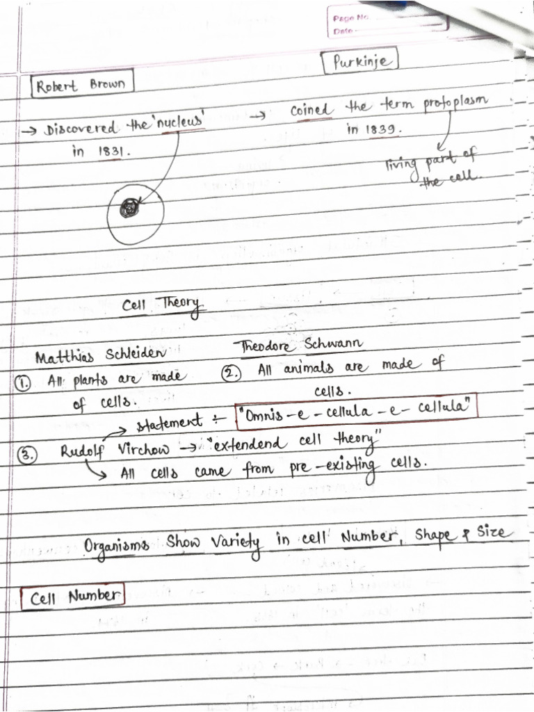 Scanned_20250718_223721 | PDF