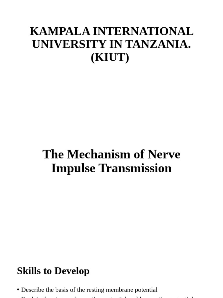 Impulse Transmission | PDF | Chemical Synapse | Action Potential