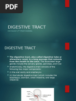 Chapter 11 - Digestive System - Solutions For Class 9 ICSE Concise ...
