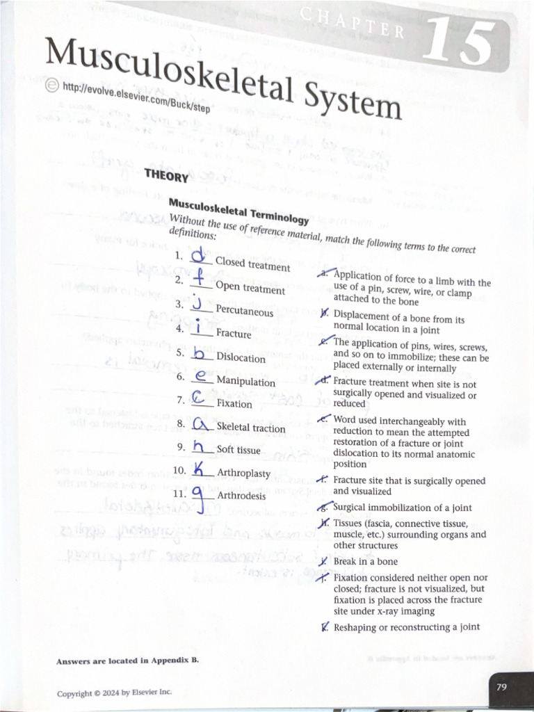 Musculoskeletal System | PDF