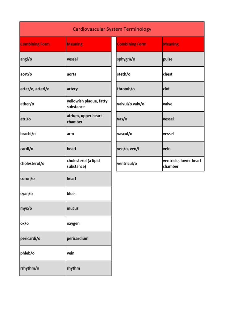 Cardiovascular System Terms 6-20 | PDF