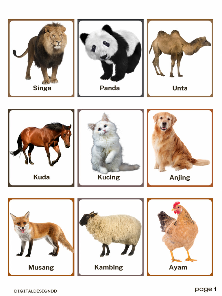 Flash Card Animal Bahasa 6 x7.5cm | PDF