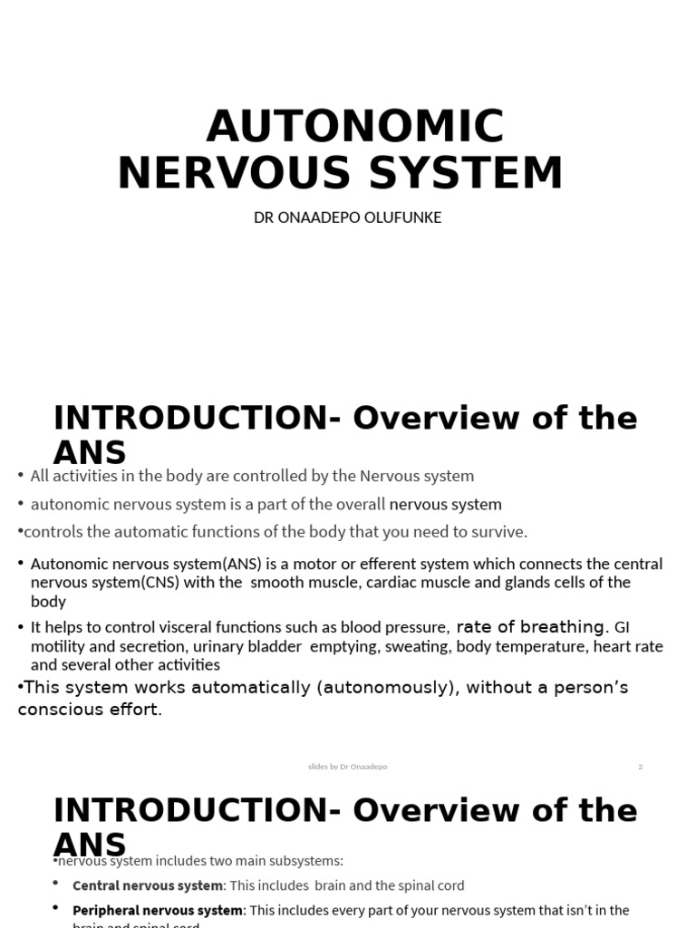 Autonomic Nervous System For 200 Level - 2024 | PDF | Acetylcholine ...
