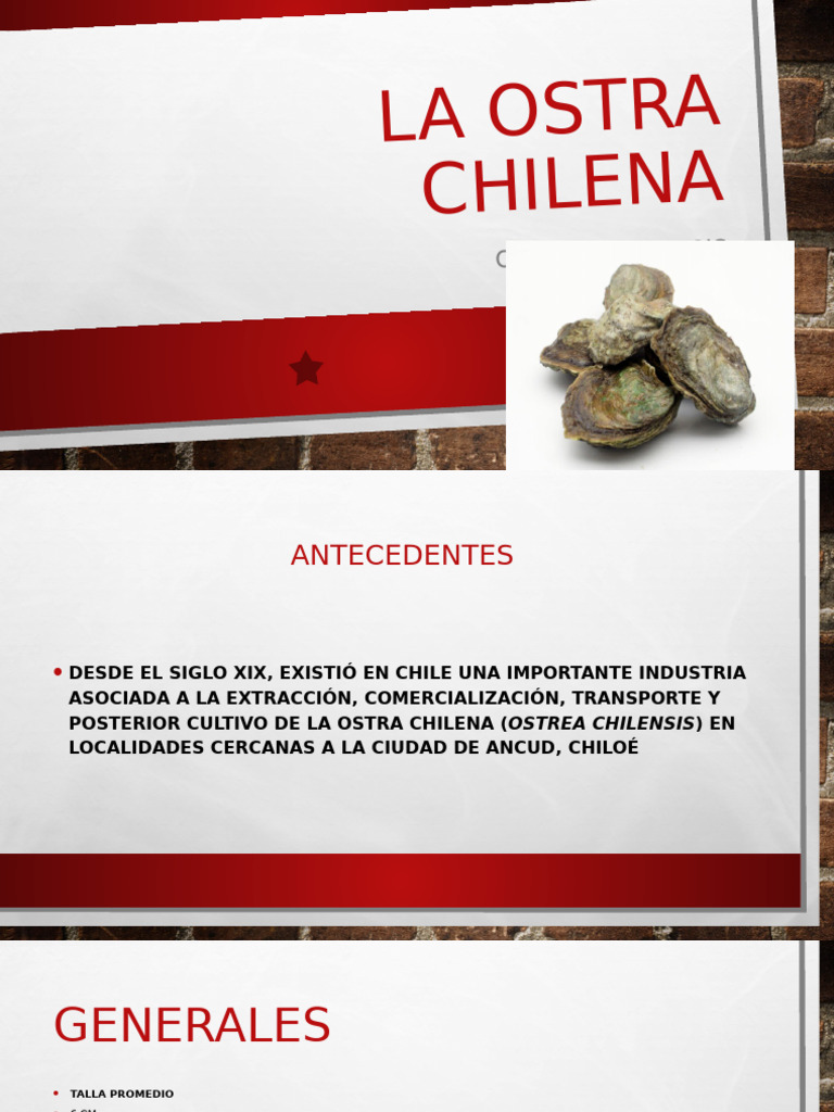 Ostra Chilena: Historia y Biología | PDF | ostra