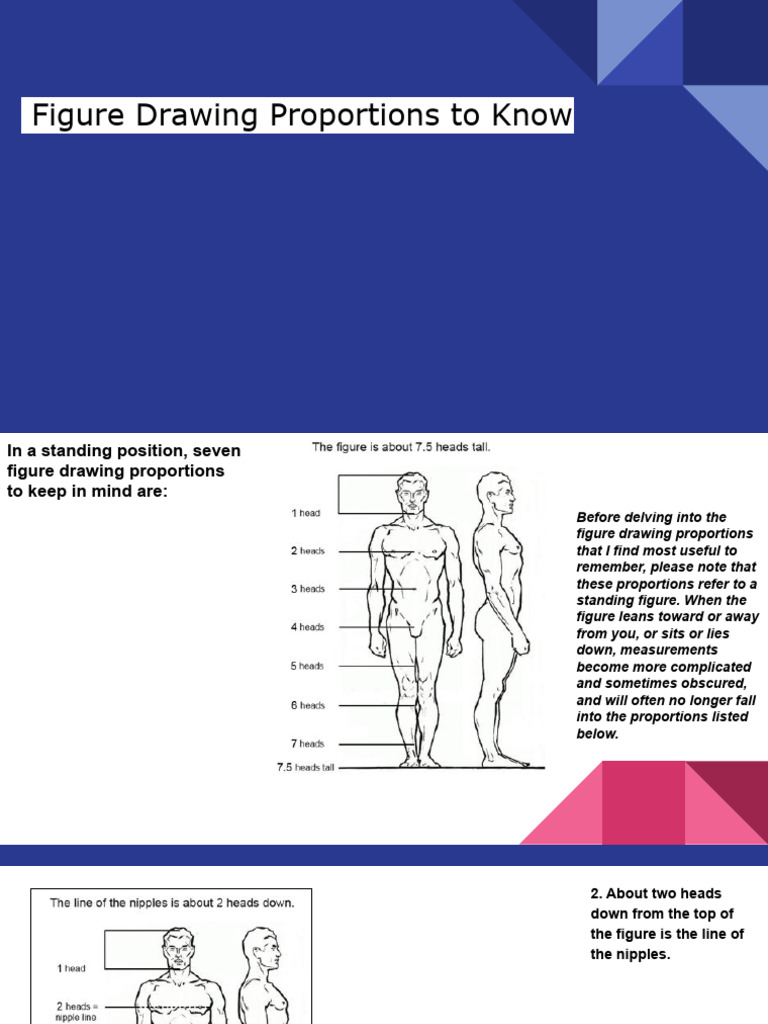 Figure Proportions | PDF