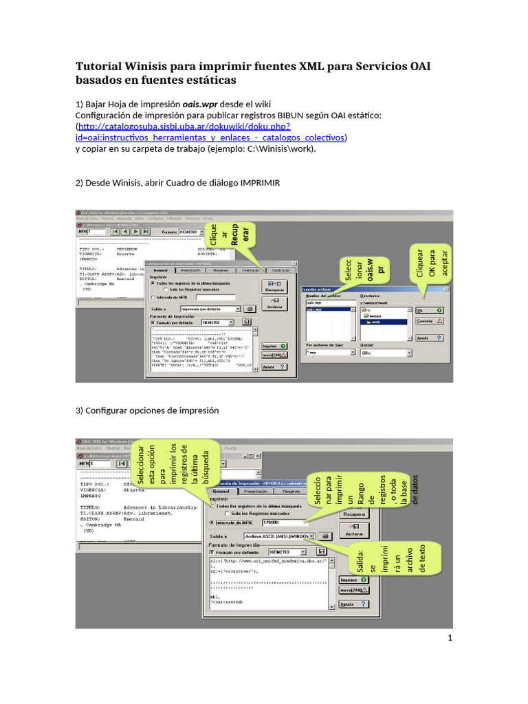 Tutorial Winisis A XML Rev | PDF | Escritura | Informática