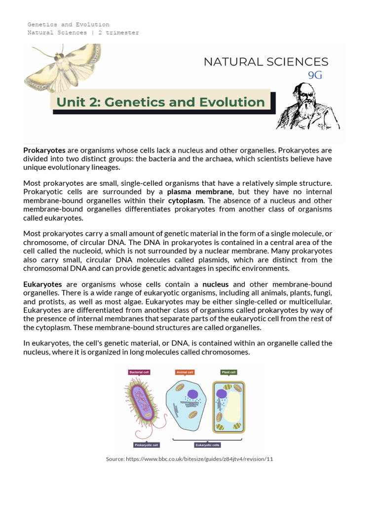 Genetic and Evolution - Text | PDF | Dominance (Genetics) | Prokaryote