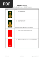 LAS Rank Structure | PDF | Emergency Medical Services | Emergency Services