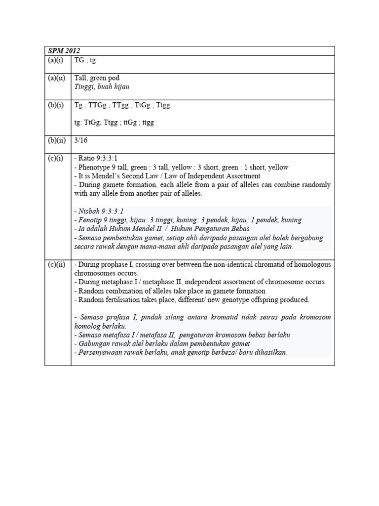 Answer SPM Exercise Chapter 11 Inheritance | PDF | Dominance (Genetics) | Allele
