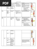Leg Anatomy for Medical Students | PDF | Wellness | Science & Mathematics