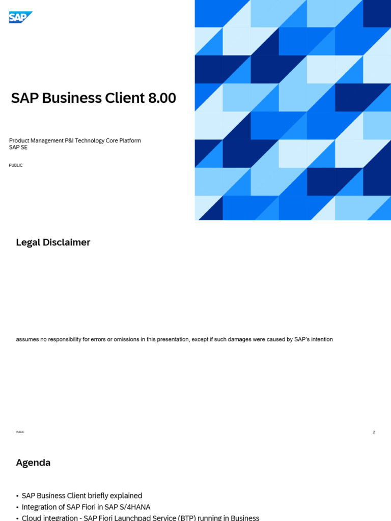 SAP Business Client 8.00 Overview | PDF | Microsoft Windows | Mobile App