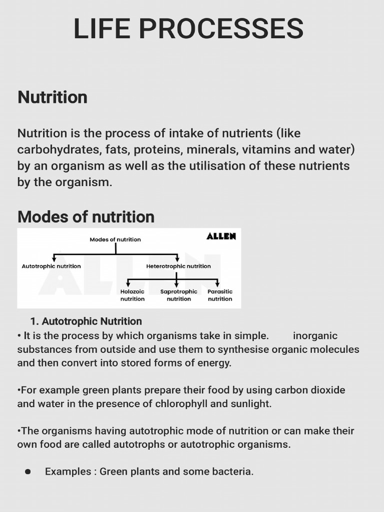 Life Processes - 250715 - 231145 | PDF