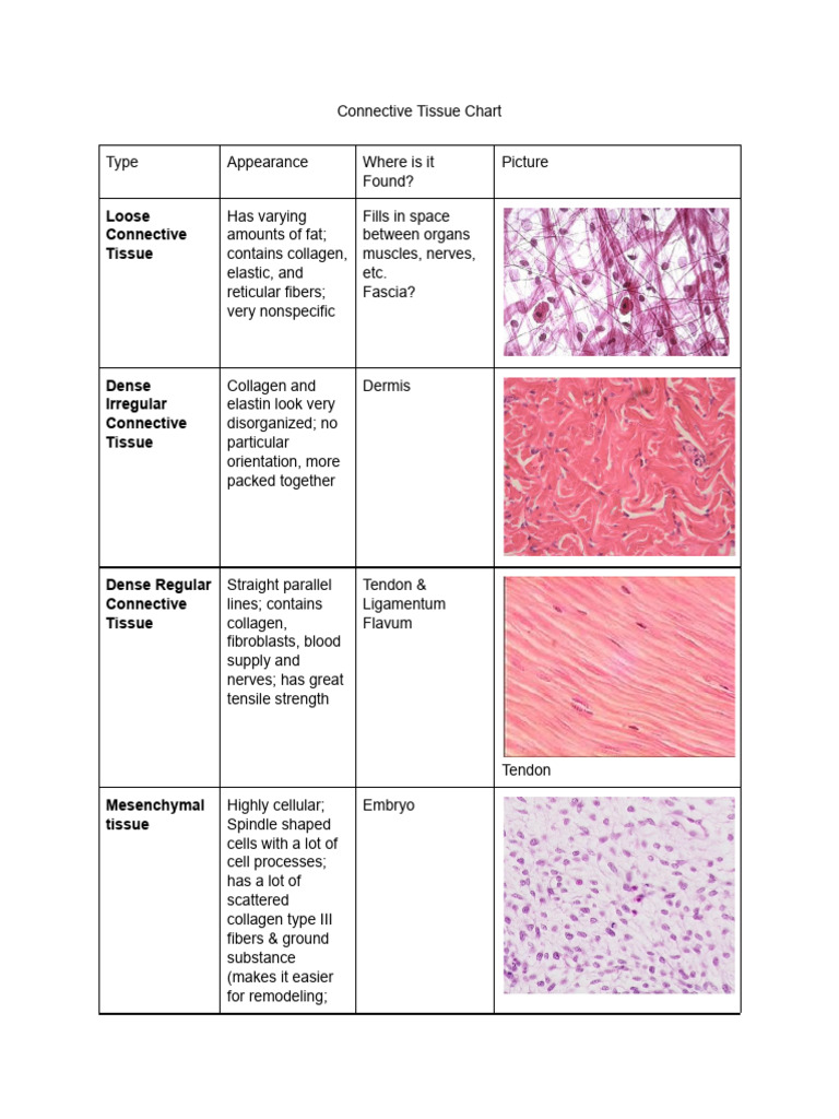 CS&F Session 8-9-10 - Connective Tissues Chart | PDF | Connective ...