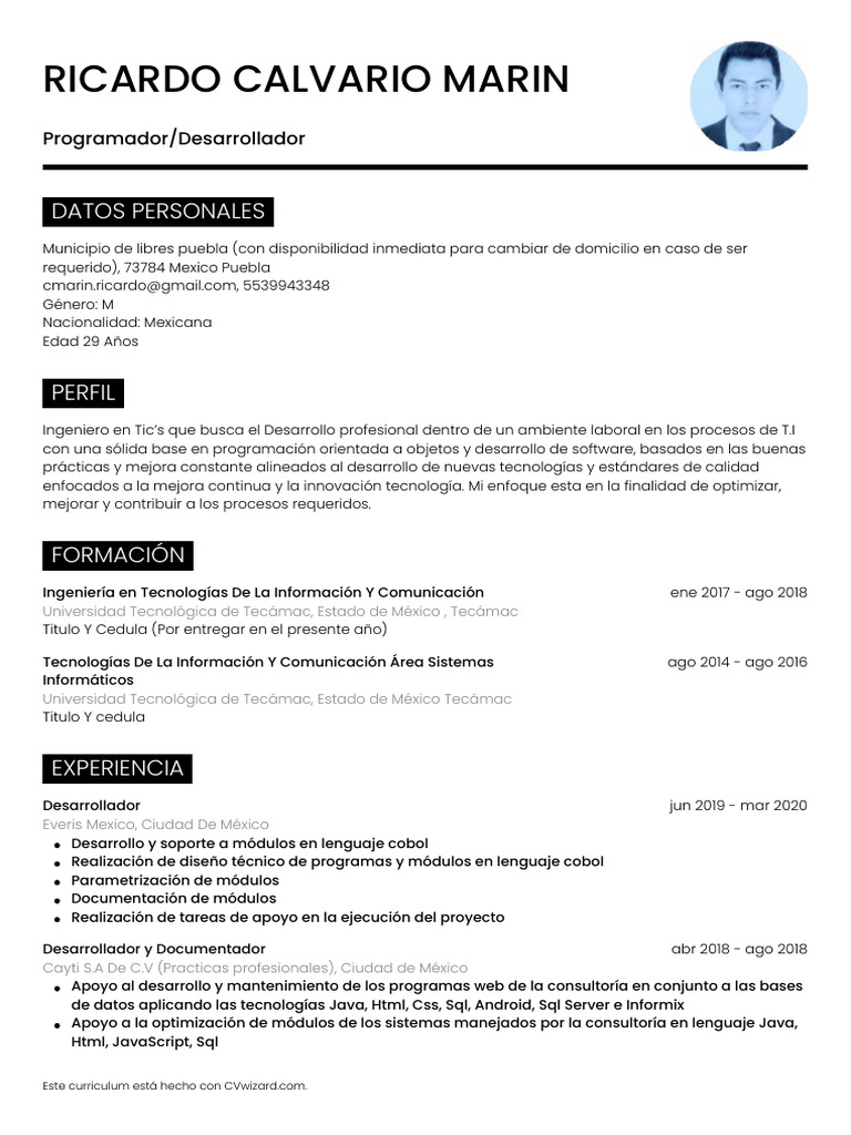 CV Ricardo Calvario Marin | PDF | Lenguaje de programación | Ingeniería ...
