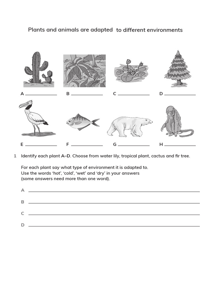Plant and Animal Adapt To Different Environment | PDF