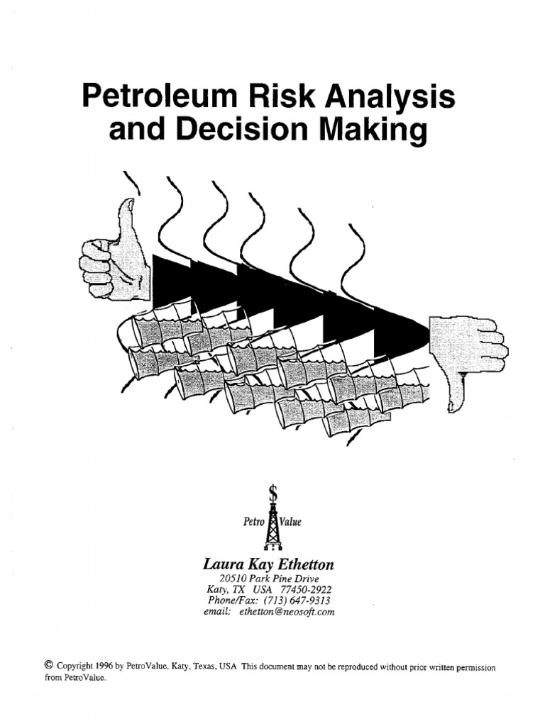 Petroleum Analysis Risks-1 | PDF