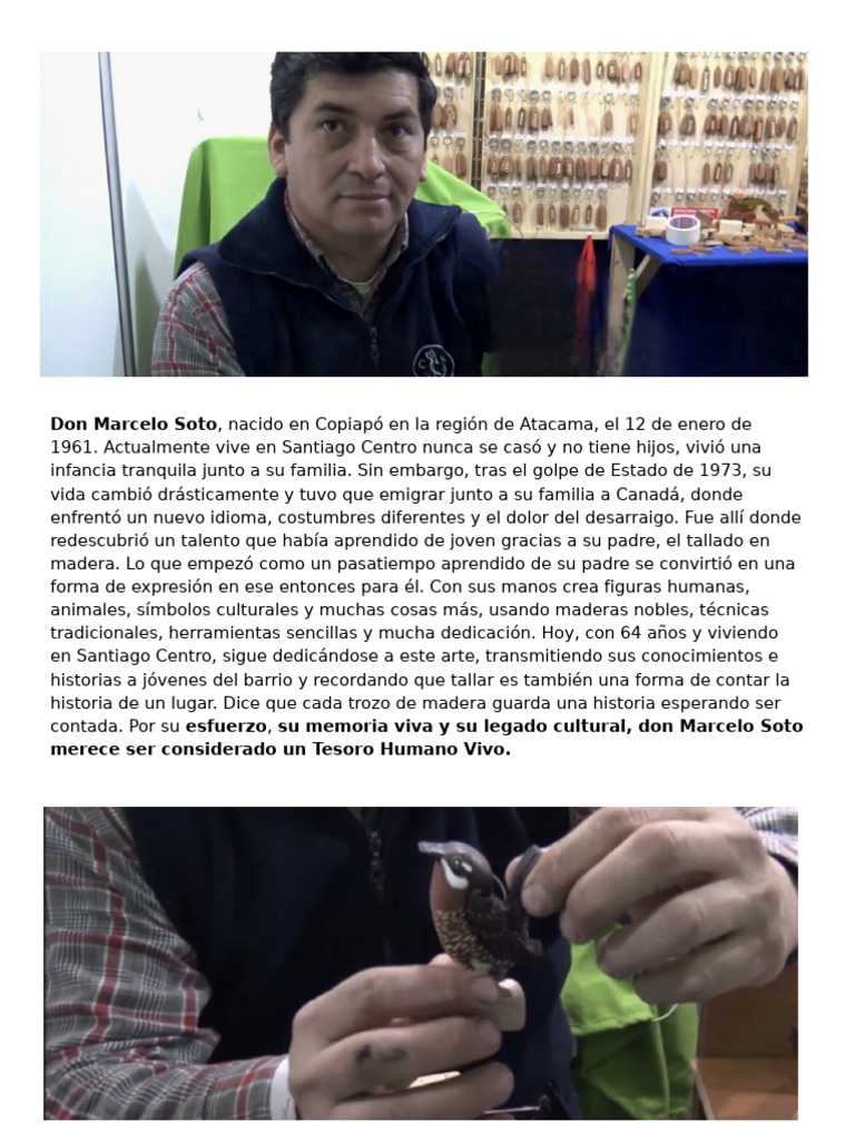 Don Marcelo Soto | PDF