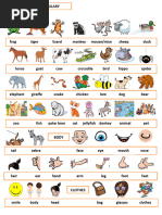 51talk Printables Complete LVL 0 To LVL 3 Lessons | PDF