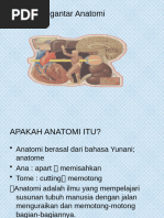 Istilah Istilah Regio Tubuh Manusia | PDF | Kajian Bahasa Asing | Sains ...